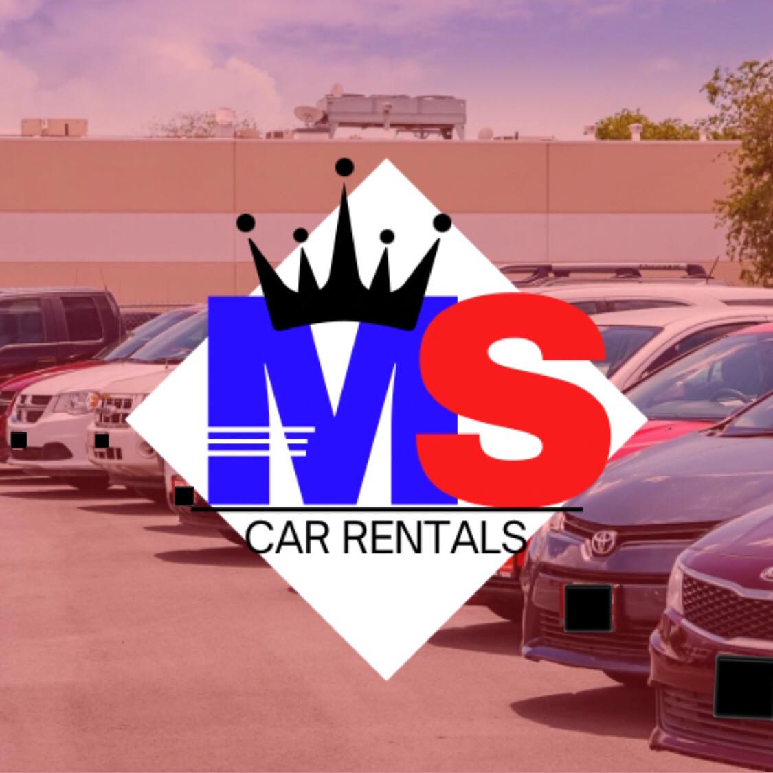 MS Car Rentals